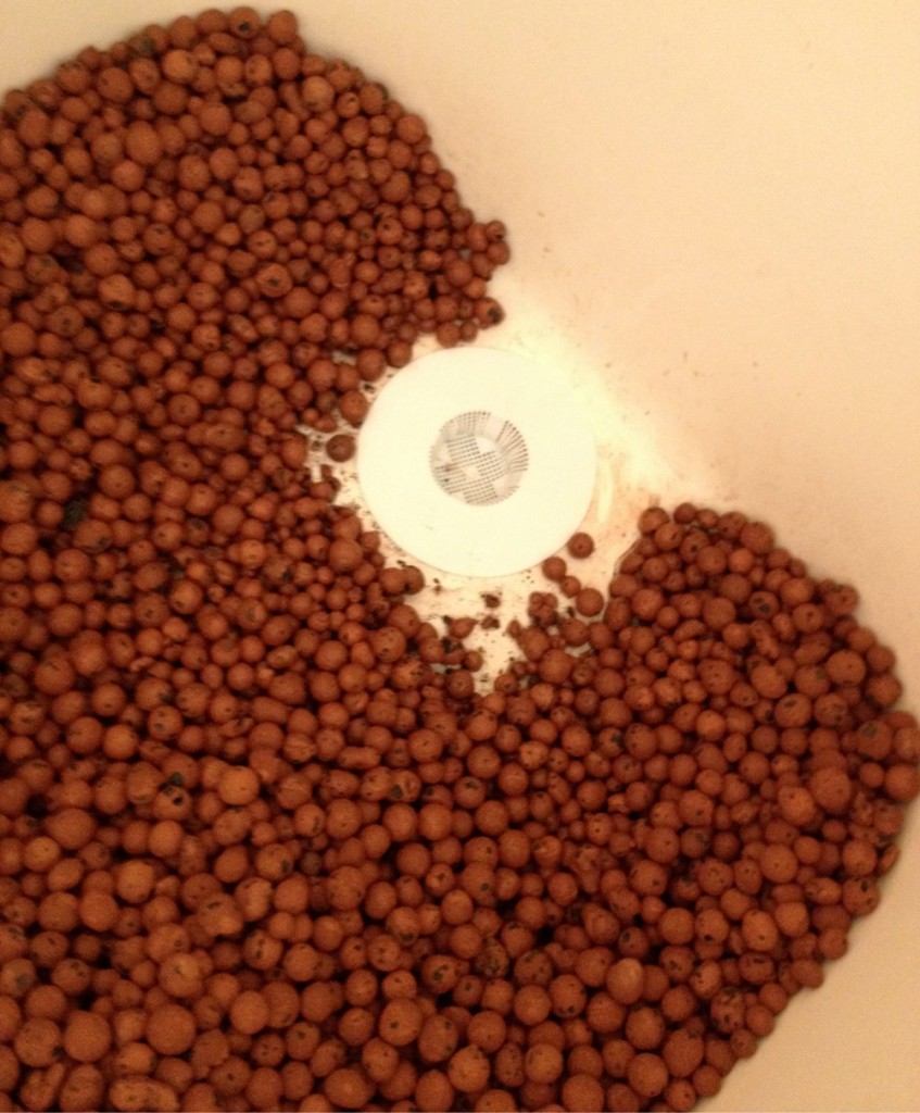 Cleaning Hydroton in Bathtub – Before with Bleach